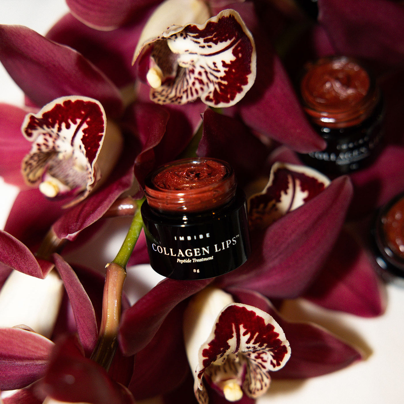 COLLAGEN LIPS - PLUM HONEY– HYDE Bellingen